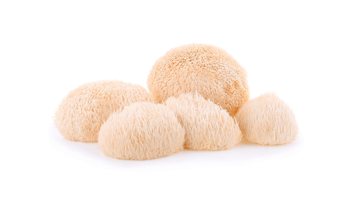 Can Lion's Mane Mushroom Help The Liver? – Tonik Fusion